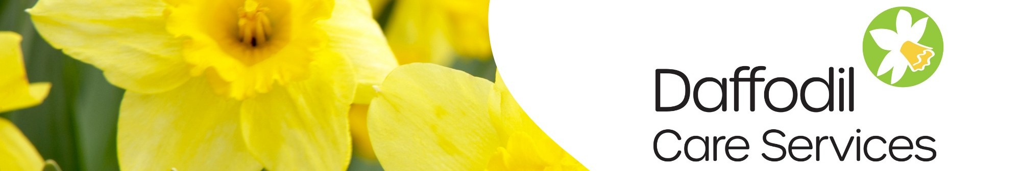 Youth Care Professionals - Mallow - Daffodil Care Group - beBee