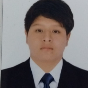 jordan joaquin sanchez maquerhua - reponedor, conductor, licencia A1 ...