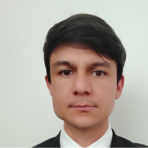 Guillermo Gerardo Prieto | Desarrollador Fullstack en León de los ...