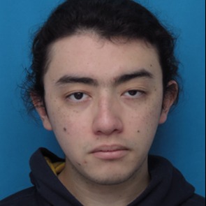 felipe Vergara | Estudiante de Bilingüismo con Énfasis en inglés en ...